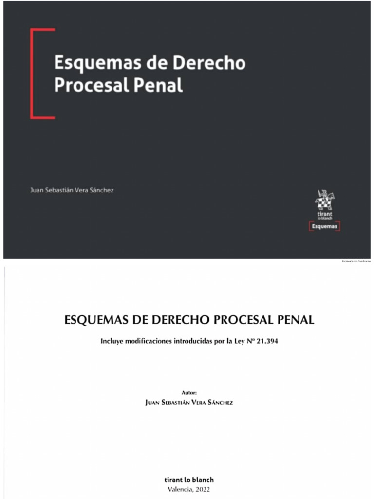 Esquemas Procesal Penal | PDF