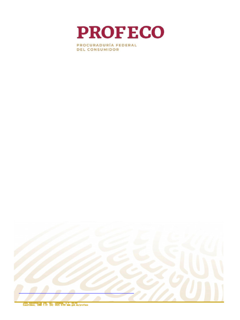 Profeco MANUAL - ESPECIFICO - DE - ORGANIZACION - DIRECCION - GENERAL ...