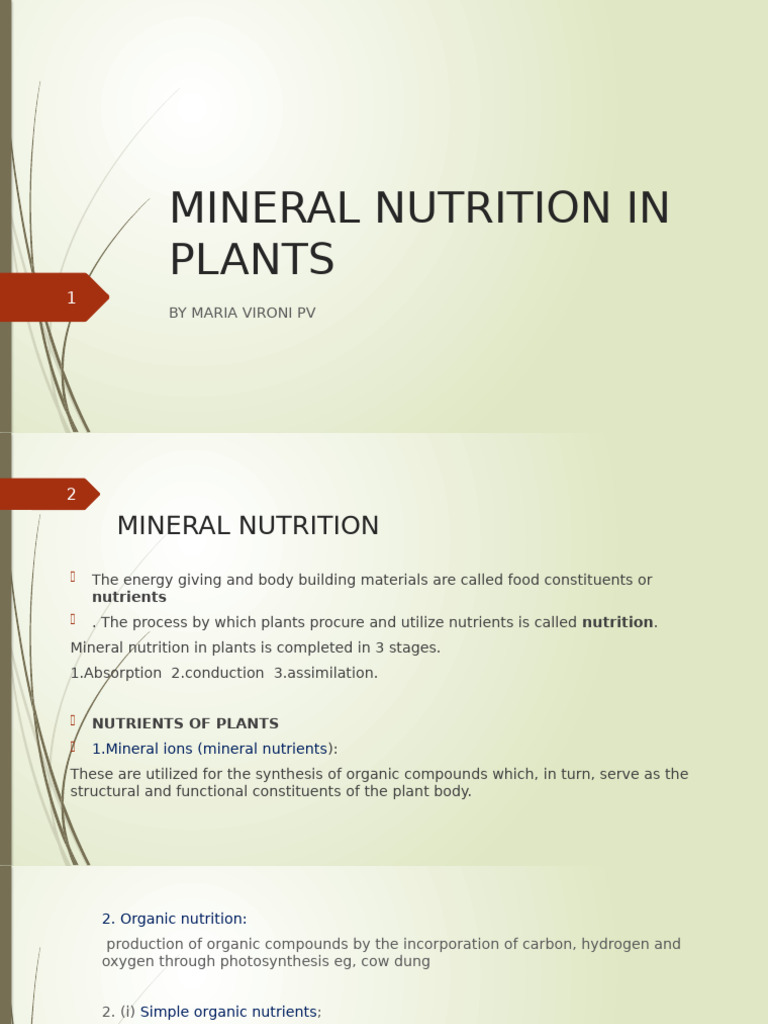 Mineral Nutrition in Plants | PDF | Plant Nutrition | Nutrition