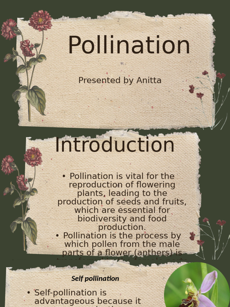 Pollination | PDF