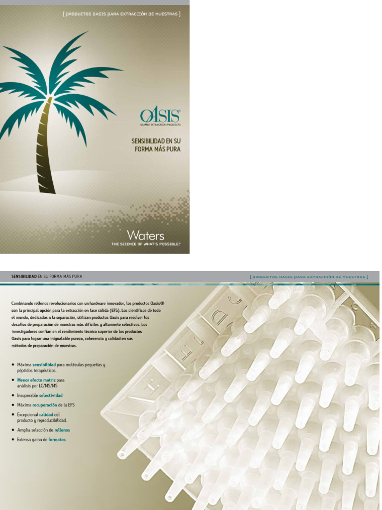 sPE Oasis-1 | PDF