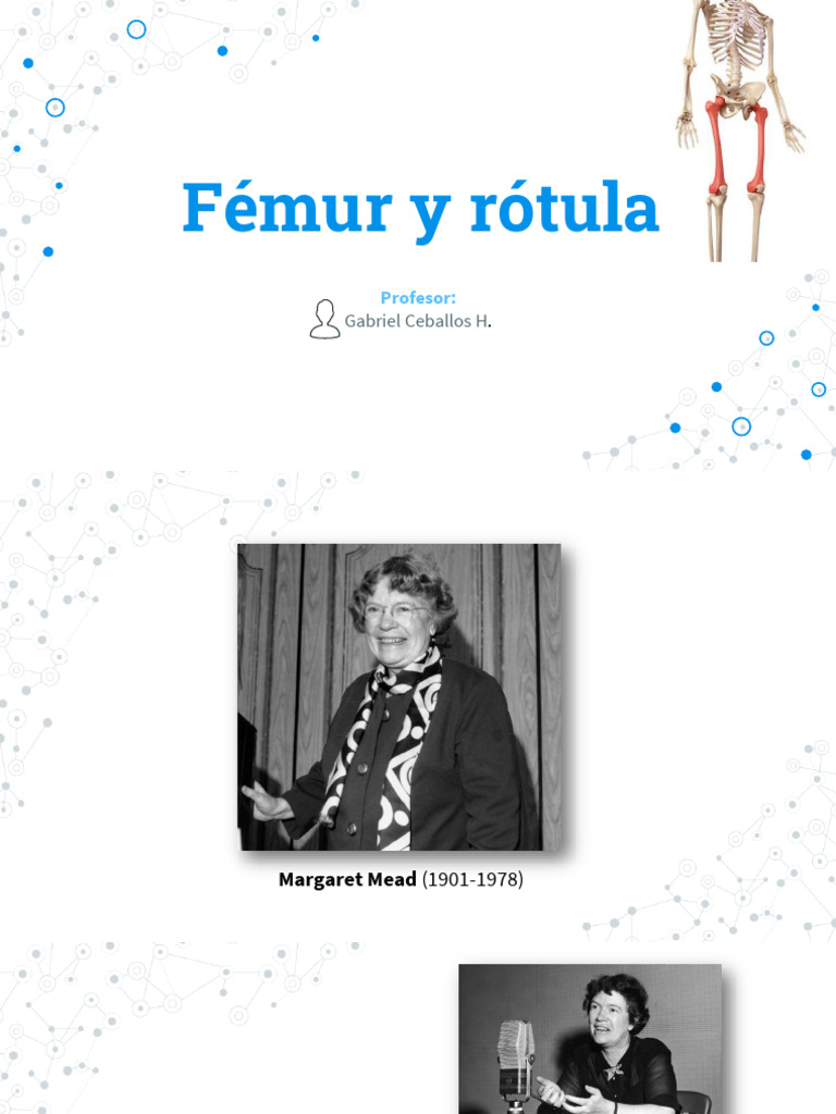 Fémur y Rótula 2024 | PDF | Extremidades (anatomía) | Anatomía del ...