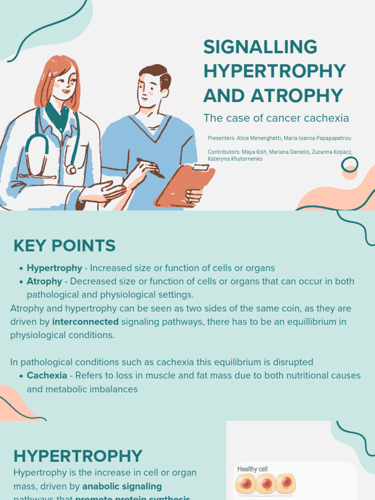 Signalling Hypertrophy and Atrophy | PDF | Atrophy | Proteasome