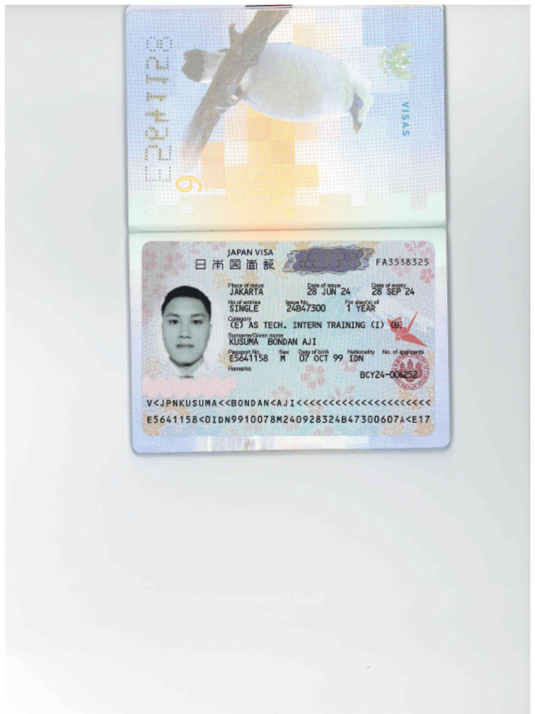 VISA CURIOUS SEIKI BONDAN AJI KUSUMA | PDF