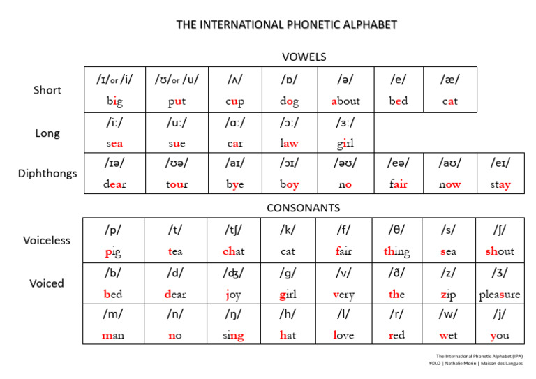 IPA Guide to English Vowels and Consonants | PDF