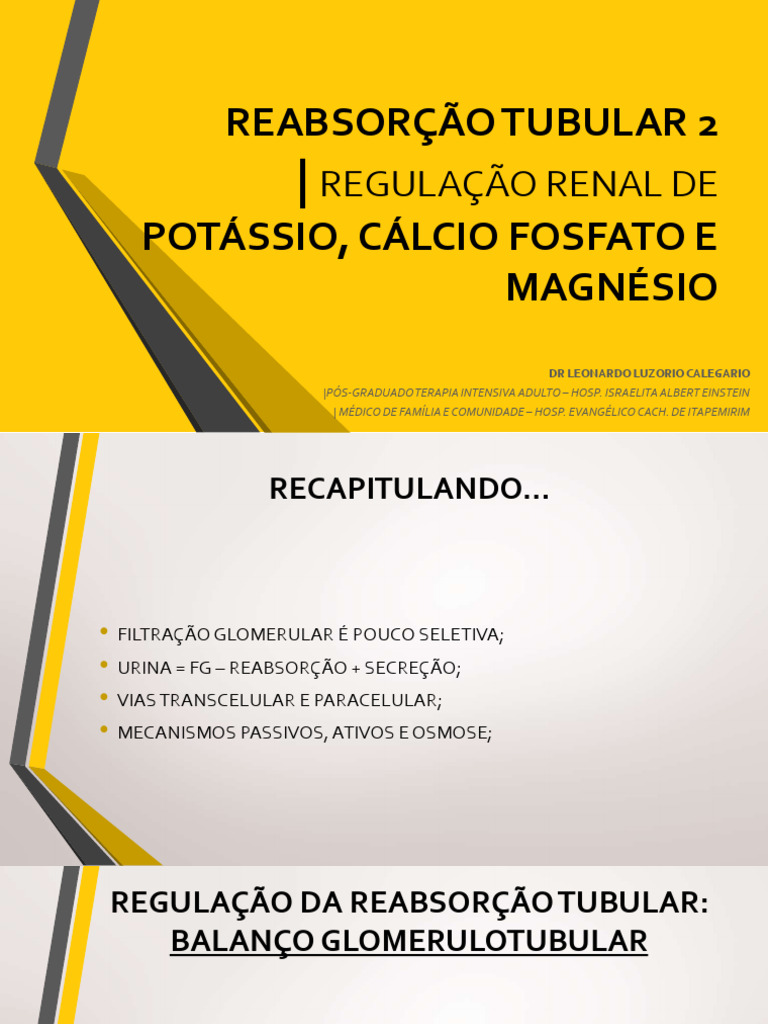 Fisiologia - Renal - Semana 4 | PDF | Rim