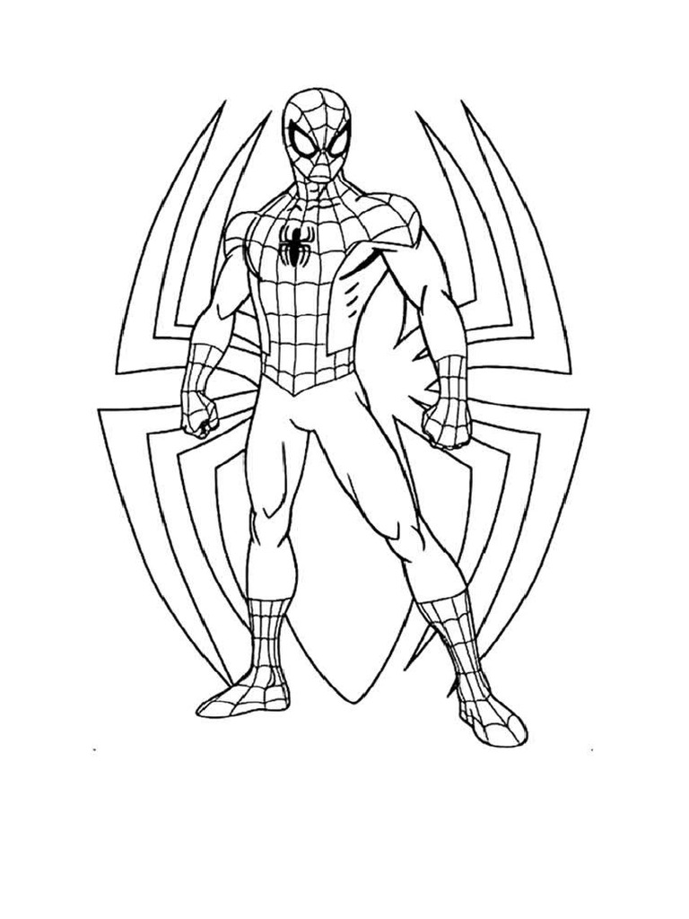 SPIDER | PDF
