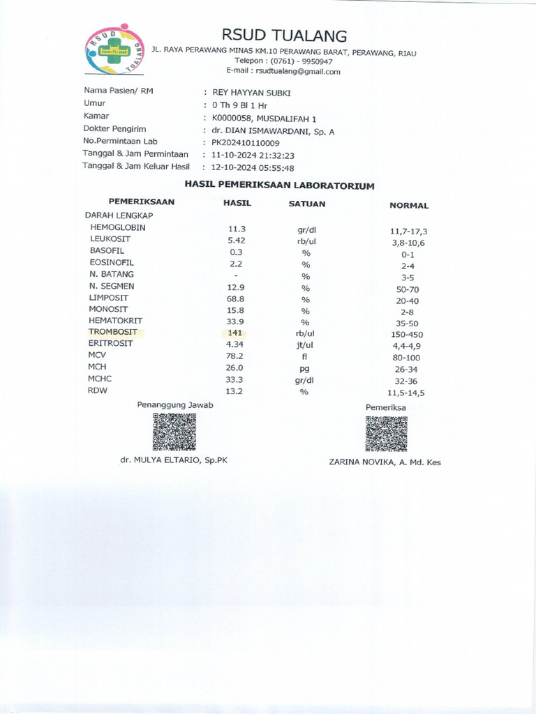 Hasil Lab Dengue | PDF