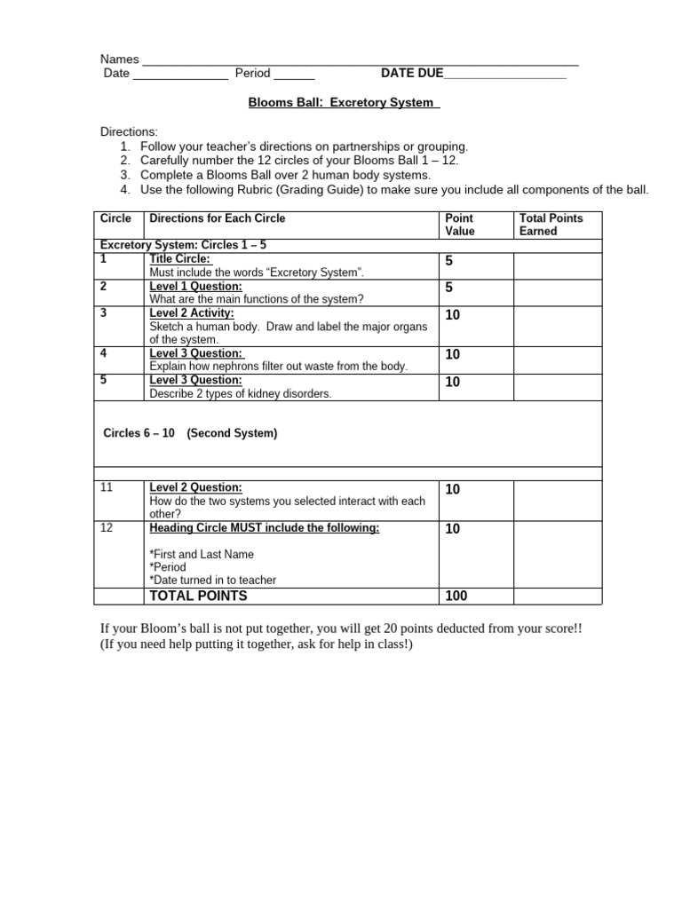 Blooms Ball Excretory (Urinary) | PDF