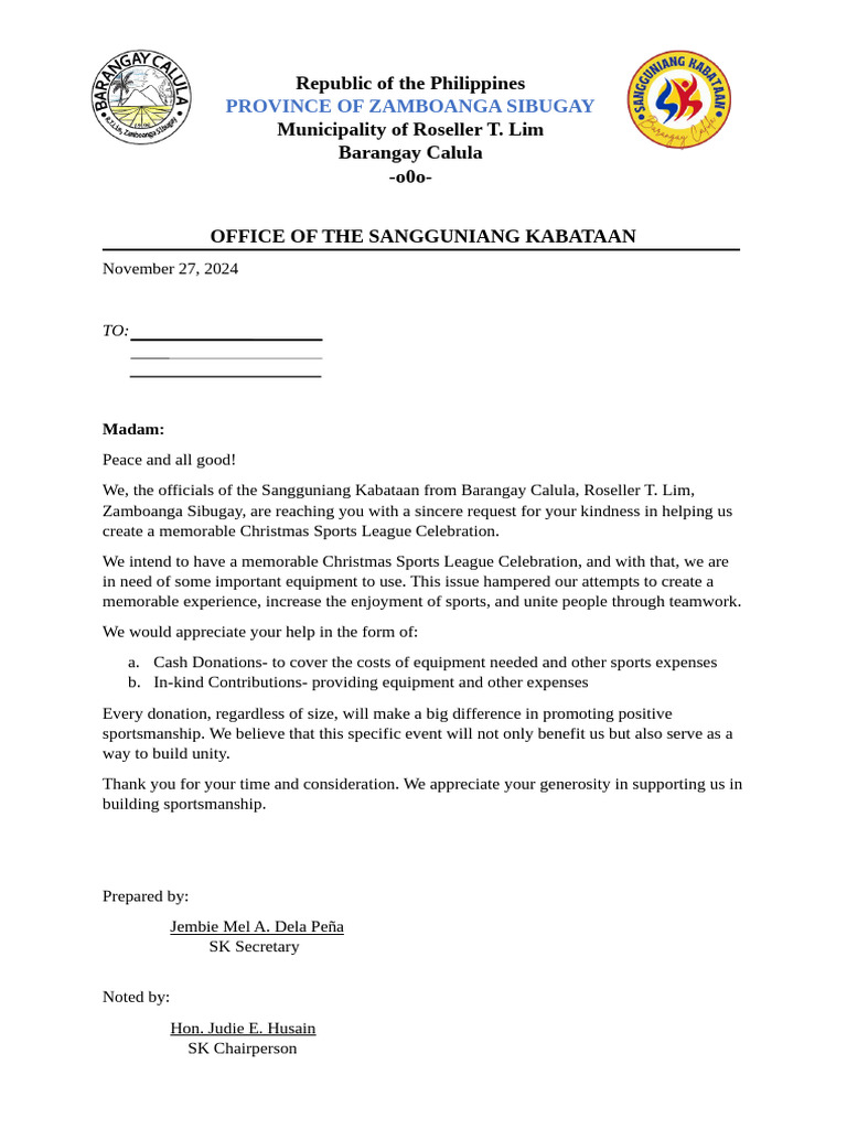 solicitation | PDF | Youth Organizations