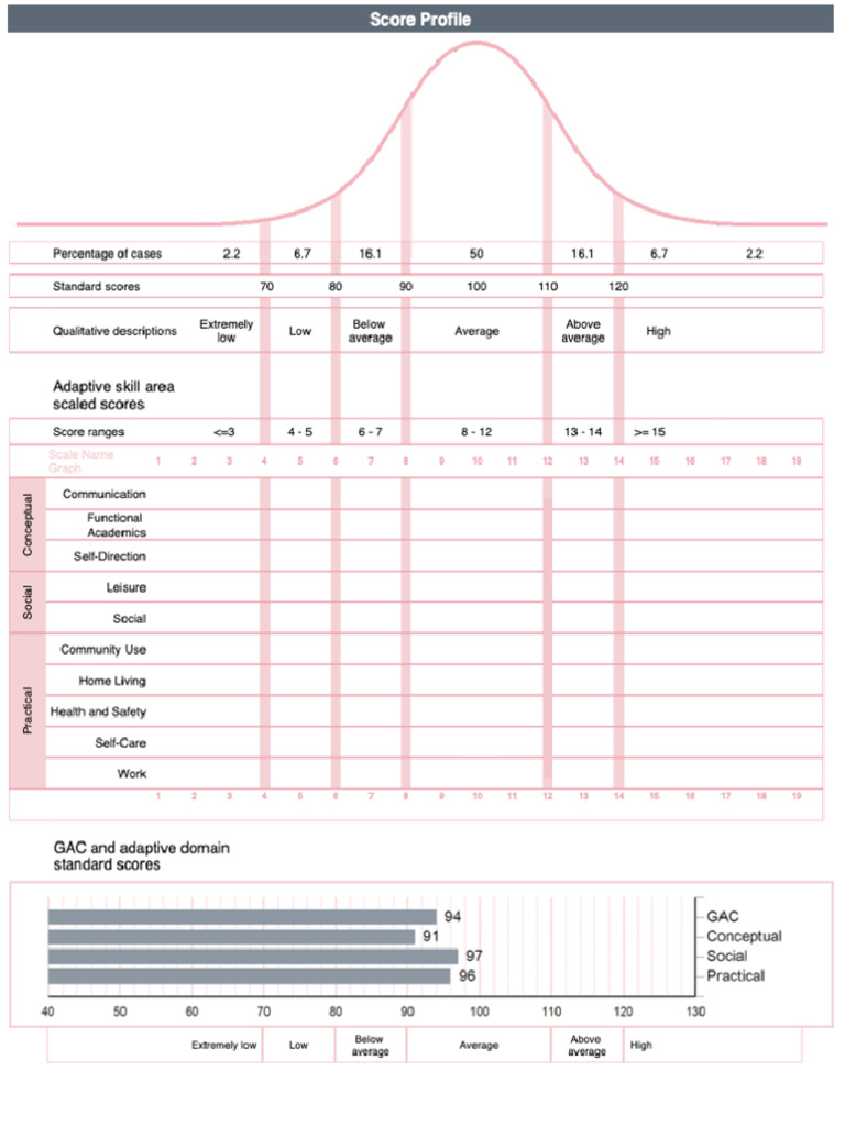Abas Score Report | PDF