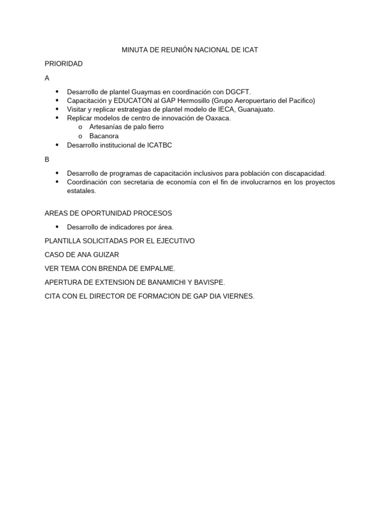 Minuta de Reunión Nacional de Icat | PDF