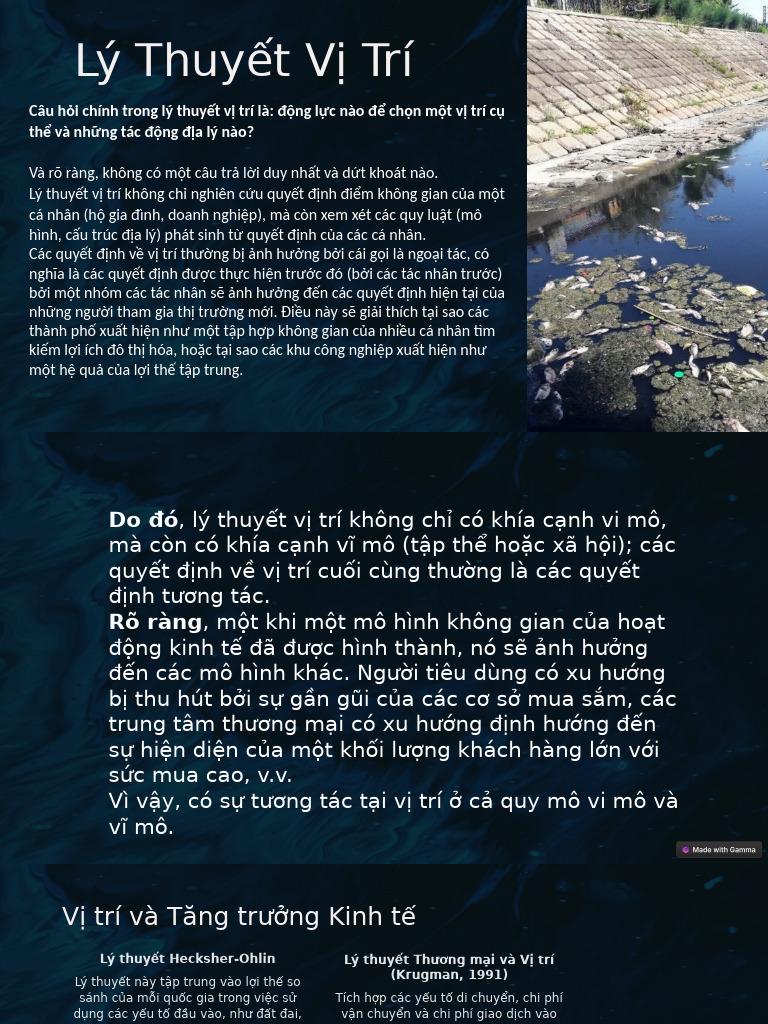 Ly Thuyet Vi Tri | PDF