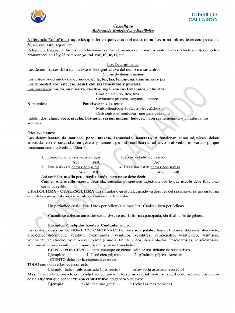 Referencia Endofórica y Exofórica | PDF