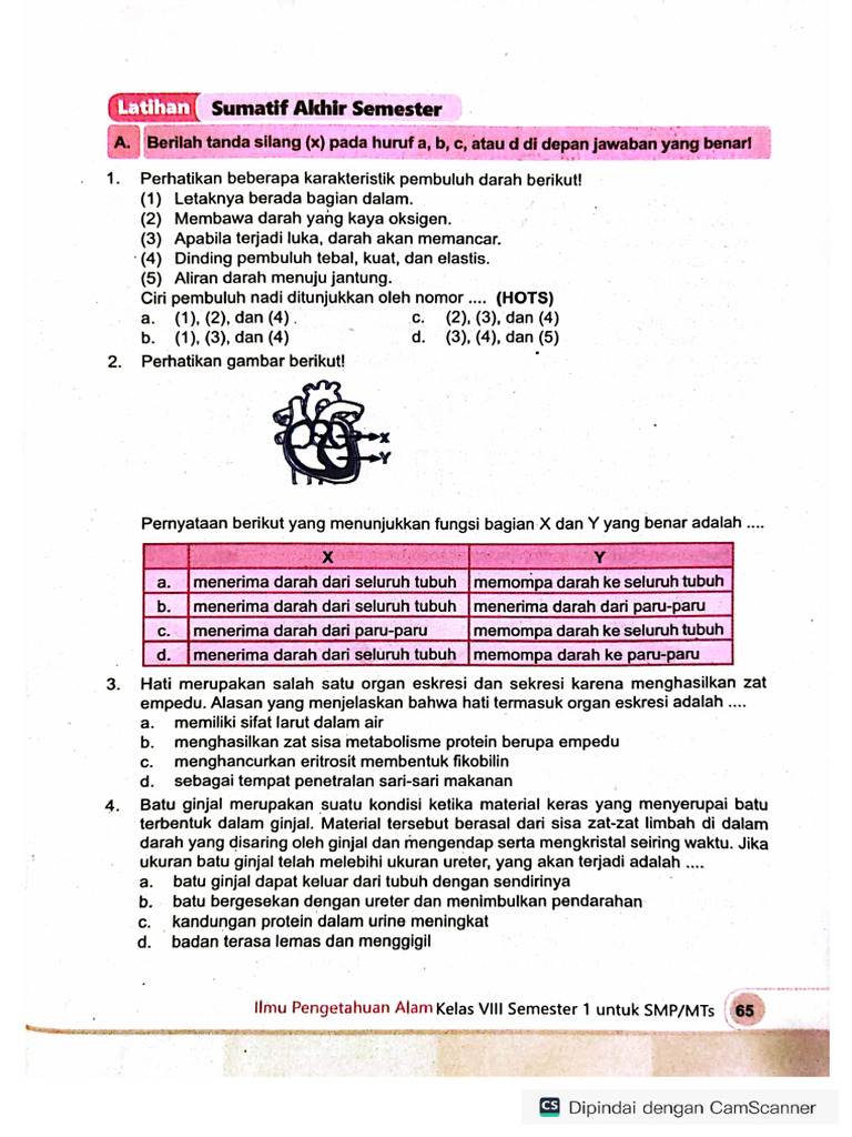 Latian Asas Kelas Ix | PDF