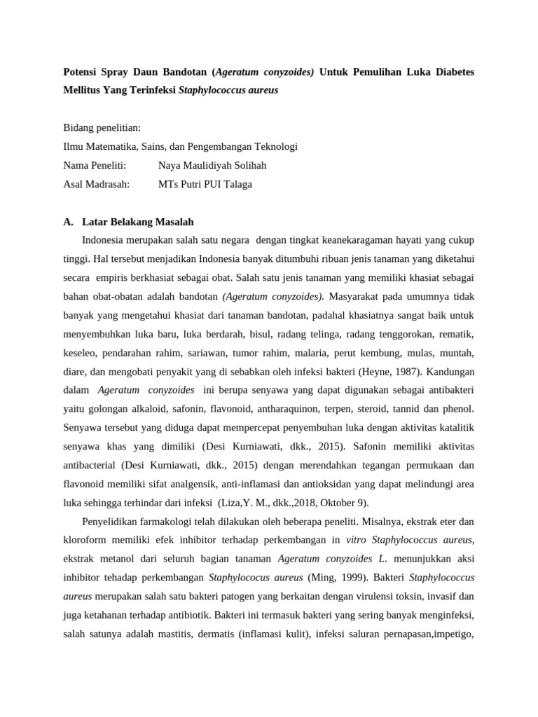 proposal ipa 2 | PDF