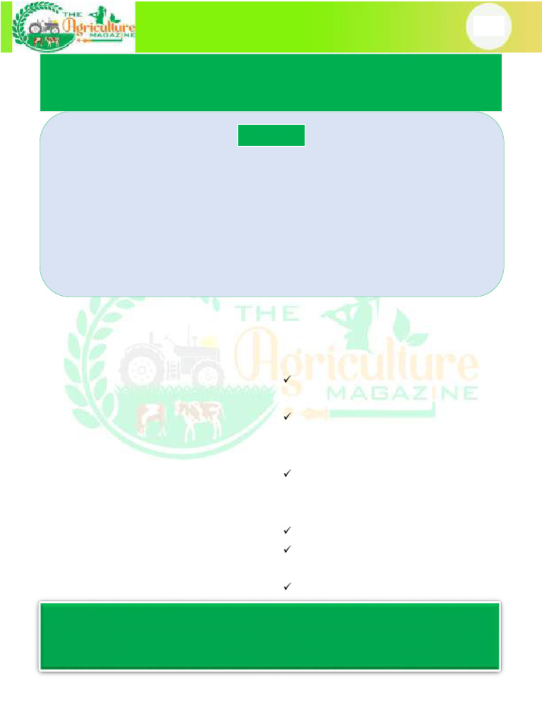 Hi-Tech Nursery for Vegetable Seedlings | PDF | Plant Nursery | Sowing