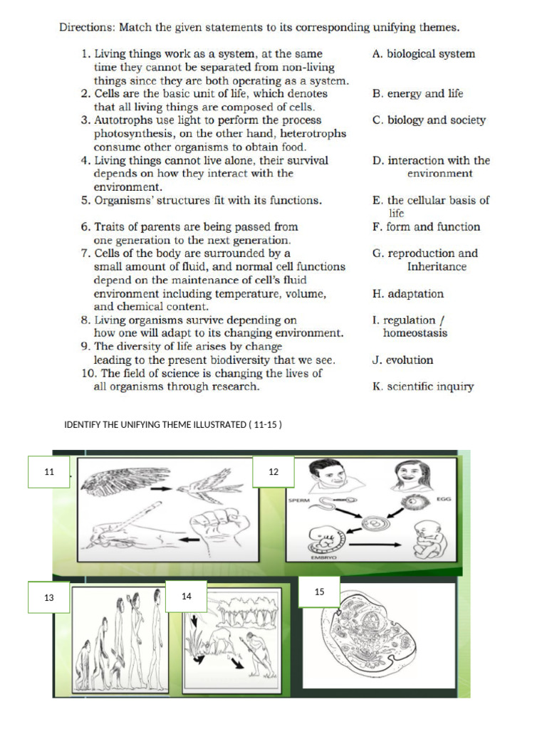 LESSON 2 ( UNIFYING THEME OF LIFE SCIENCE ) Activity Sheet | PDF