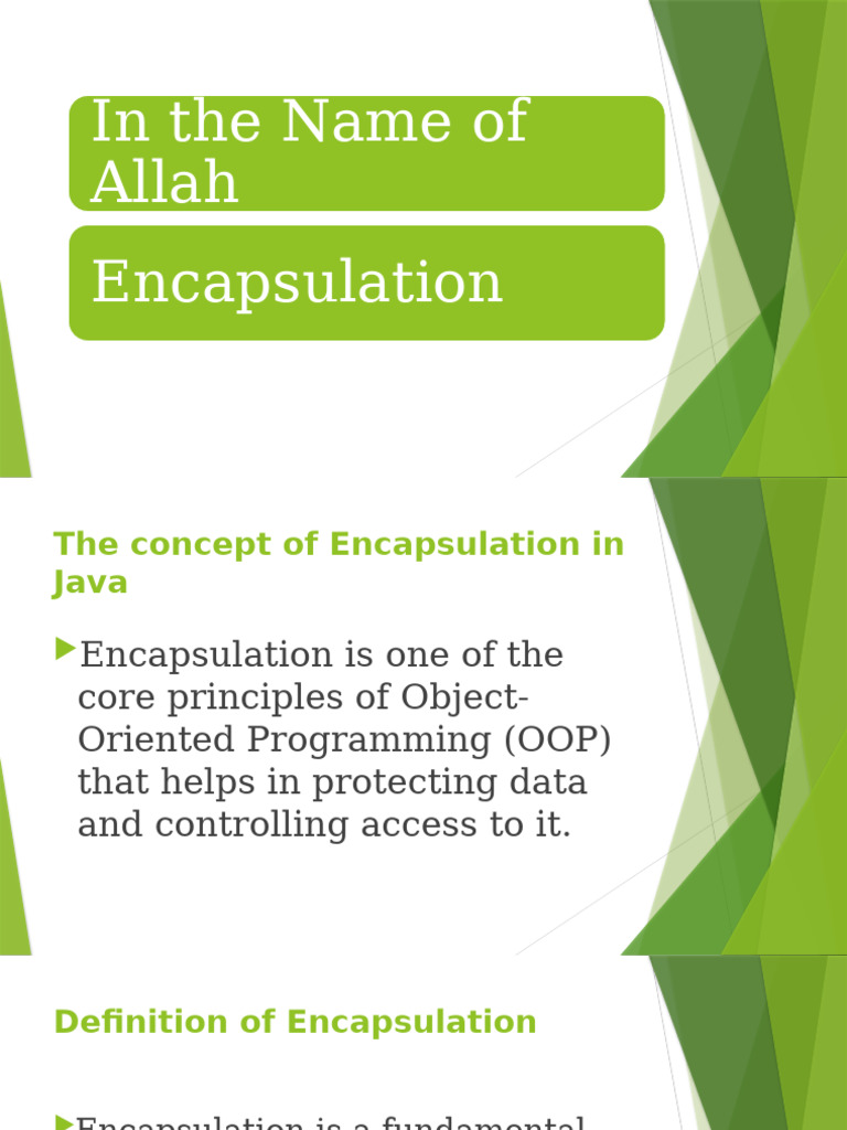 Encapsulation | PDF