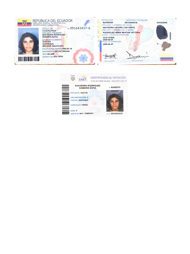 Cedula y Papeleta Vendedora Damaris Saavedra | PDF