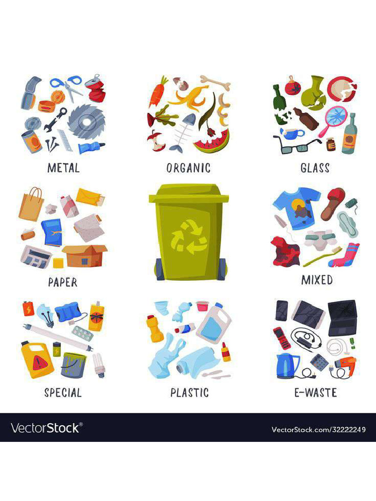 Waste Sorting Different Types Garbage Paper Vector Image On VectorStock ...