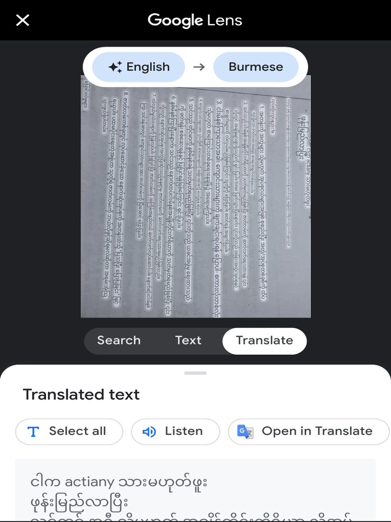 Google Lens 15 | PDF