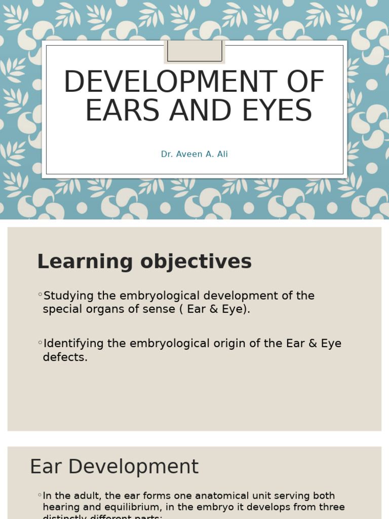 Ear and Eye Developmen | PDF | Ear | Retina
