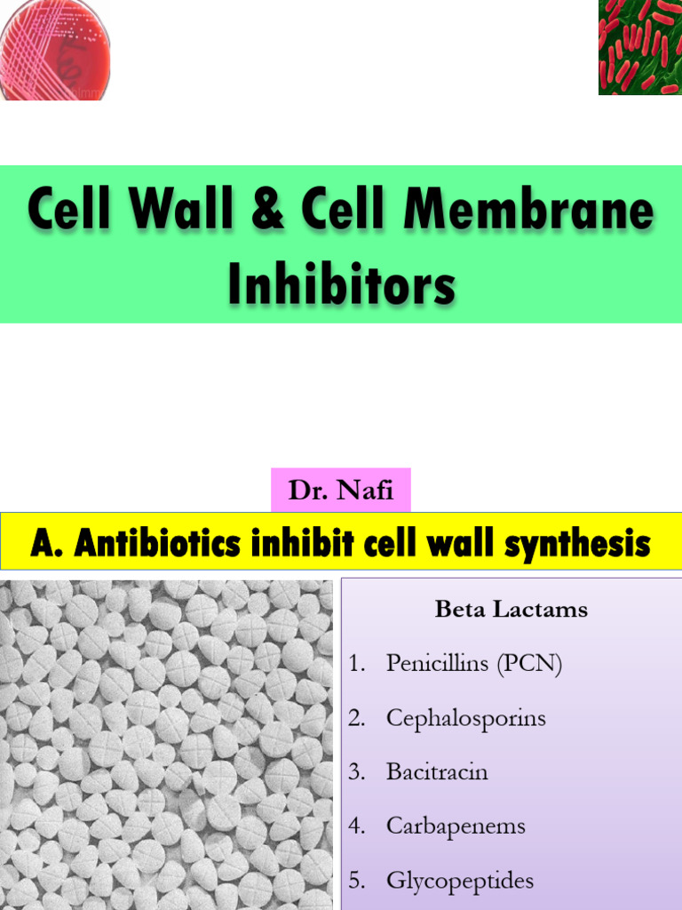 2. Cell Wall and Cell Membrane Inhibitors | PDF | Penicillin | Beta ...