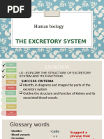? Excretion - Grade 11 Life Sciences | PDF