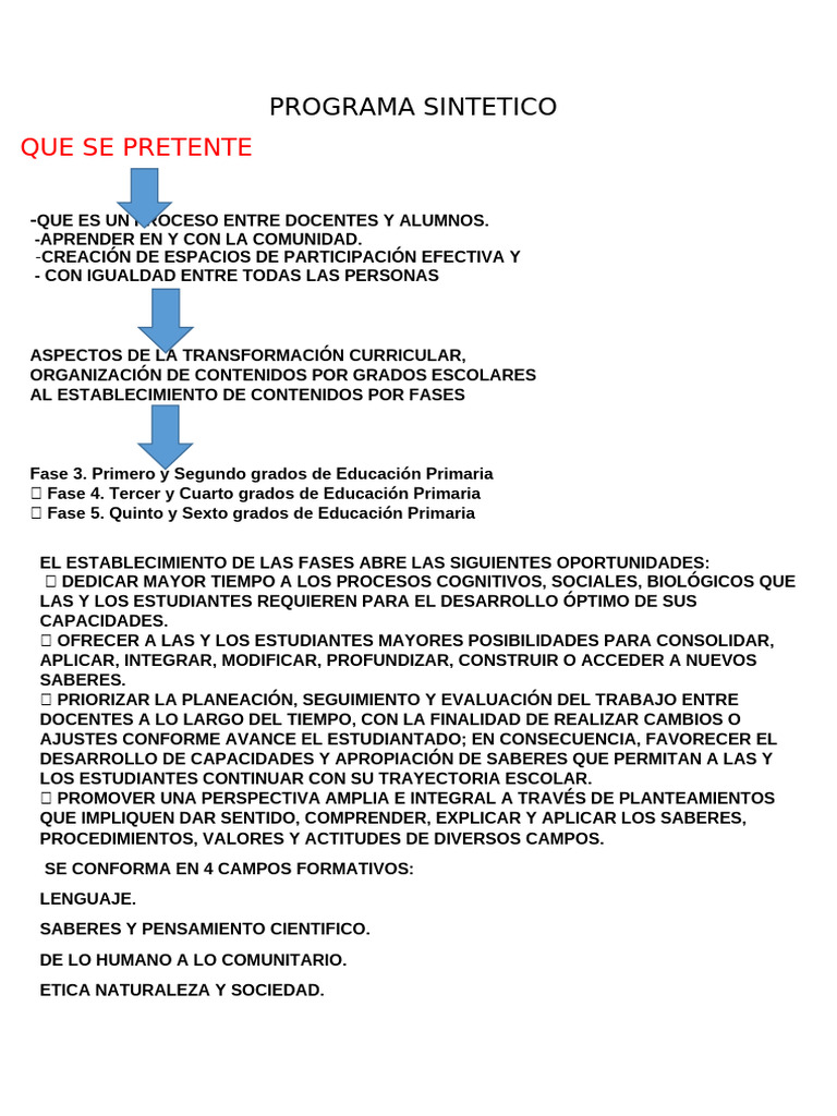 Programa Sintetico | PDF