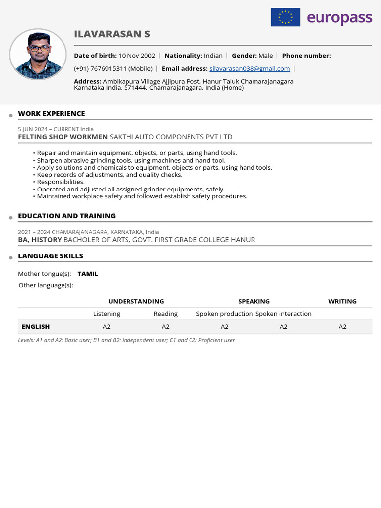 Ilavarasan S: Profile Overview | PDF