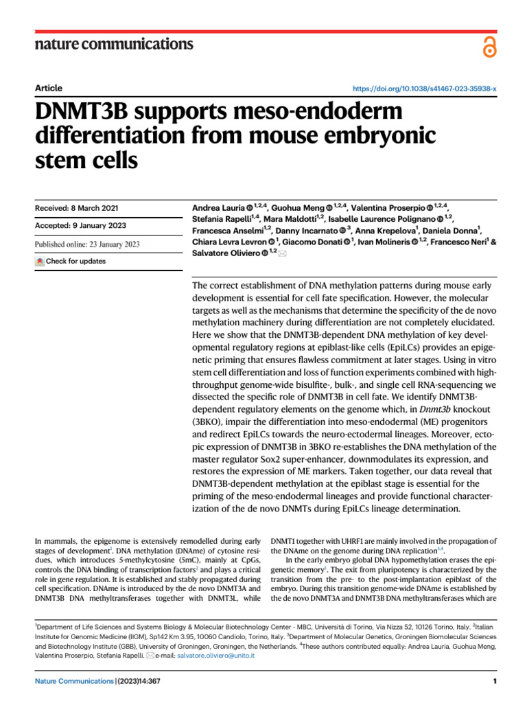 DNMT3B Supports Meso-Endoderm Differentiation From Mouse Embryonic Stem Cells | PDF | Cellular ...