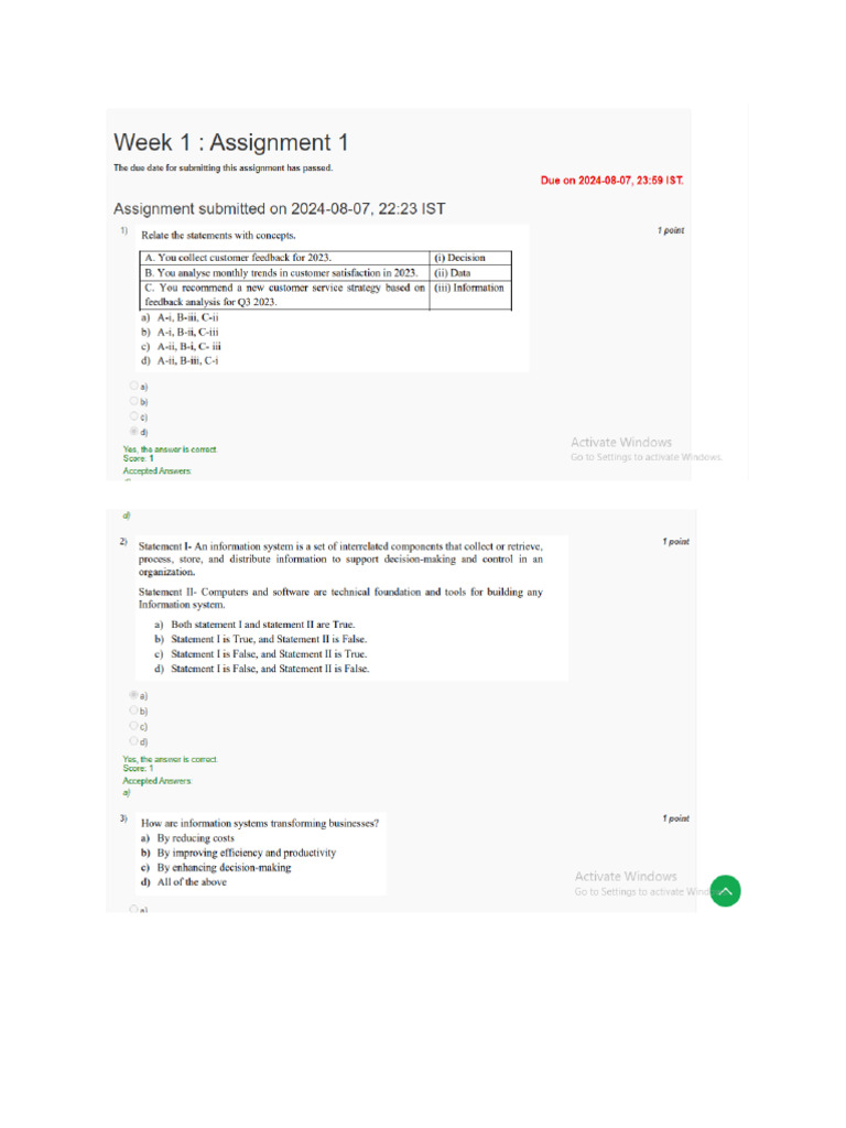Audit Assignment 1 | PDF