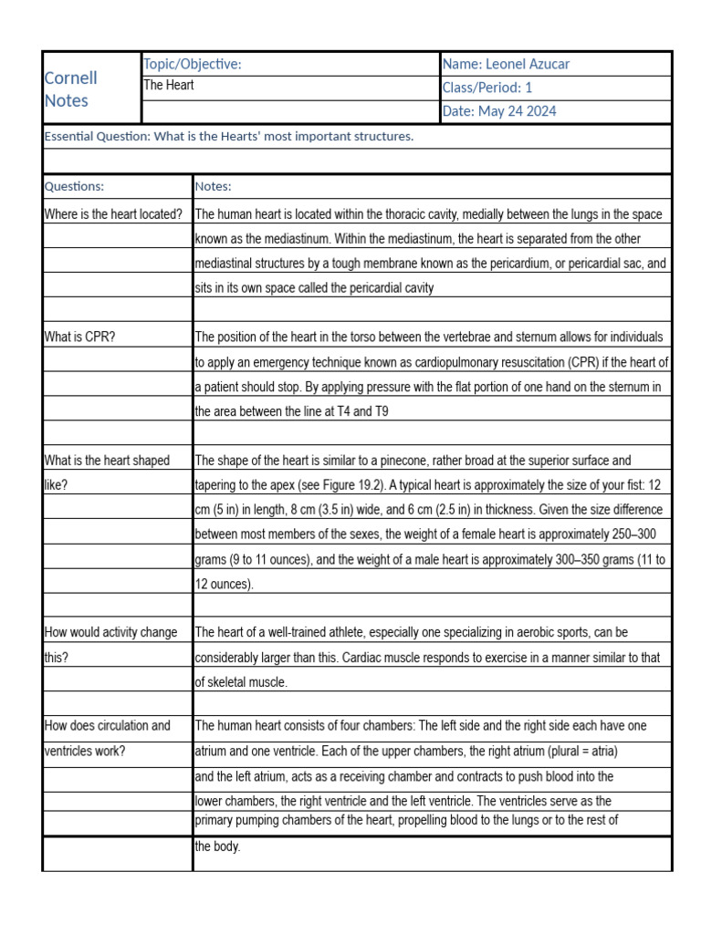 Cornell Notes Template-1 | PDF | Heart | Ventricle (Heart)