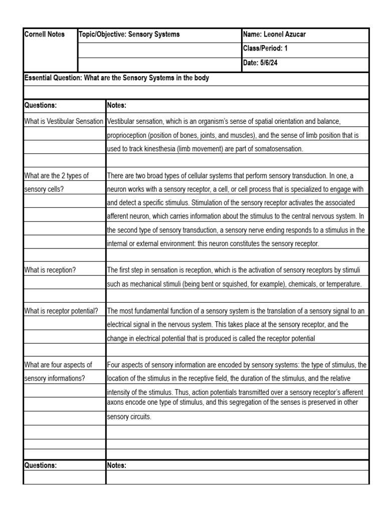 Cornell Notes Template | PDF | Stimulus (Physiology) | Senses