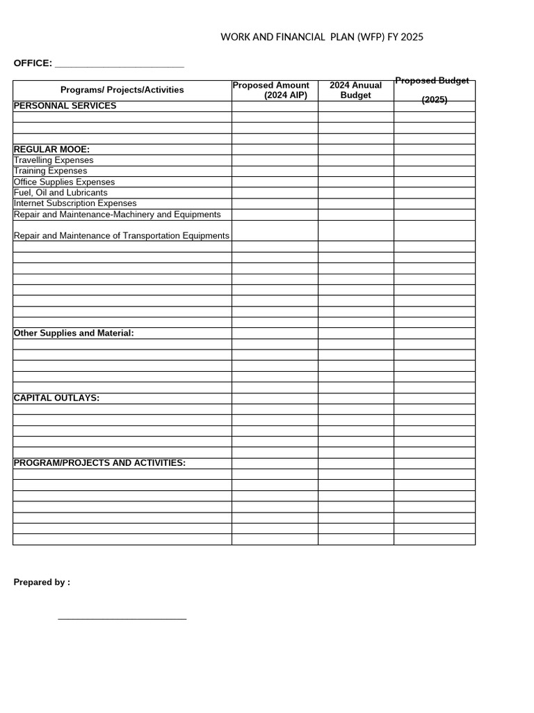 Work and Financial Plan 2025 | PDF