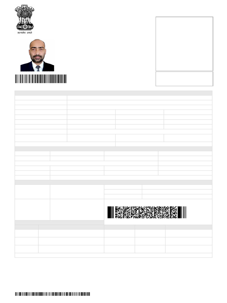 Indian Visa Application Form | PDF | Travel Visa | Passport