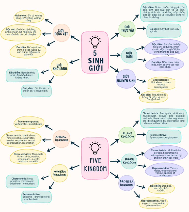 Empathy Map Mind Map | PDF
