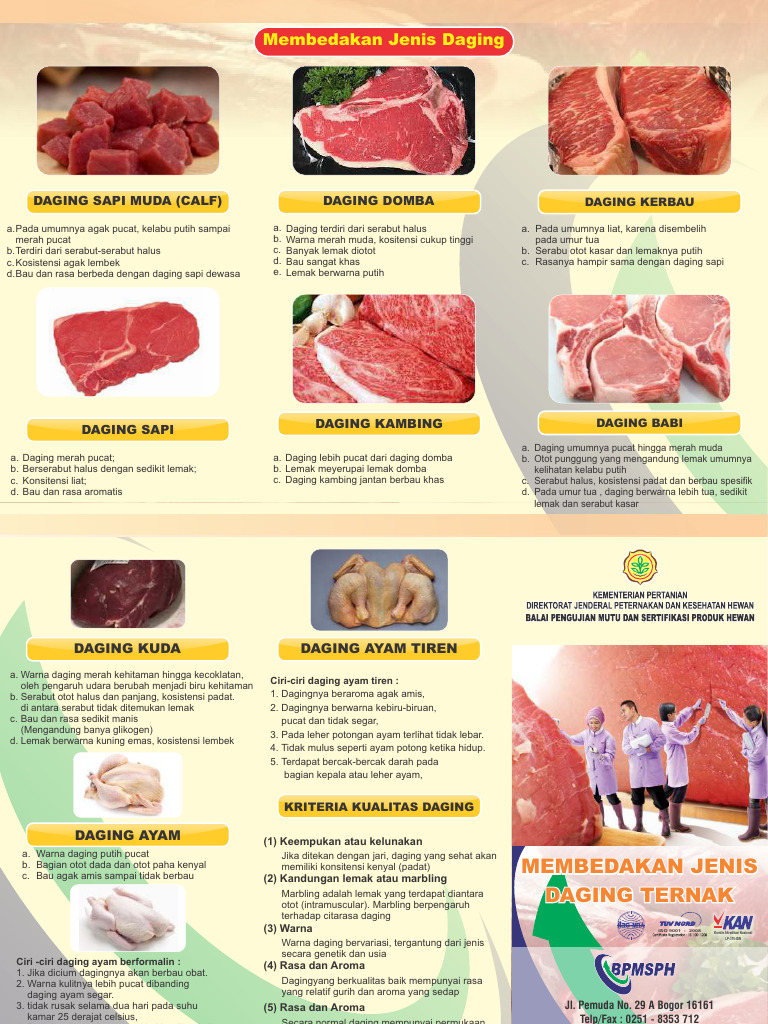 Warna Macam-macam Daging | PDF