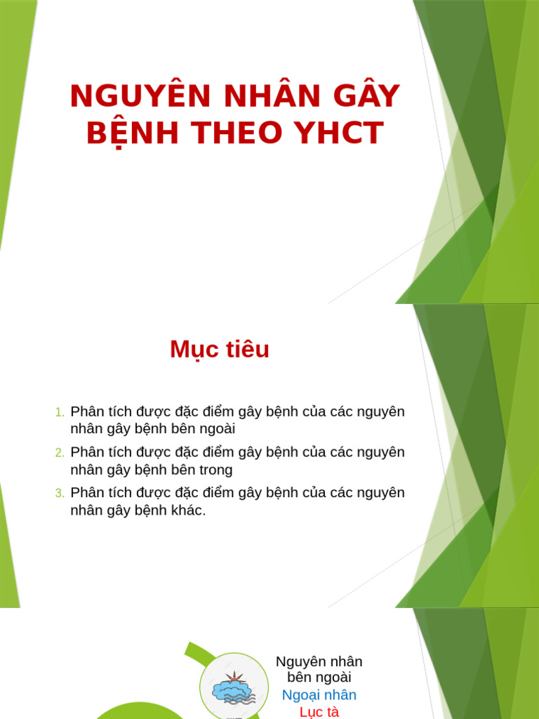 Nguyên Nhân Gây Bệnh Theo Yhct | PDF