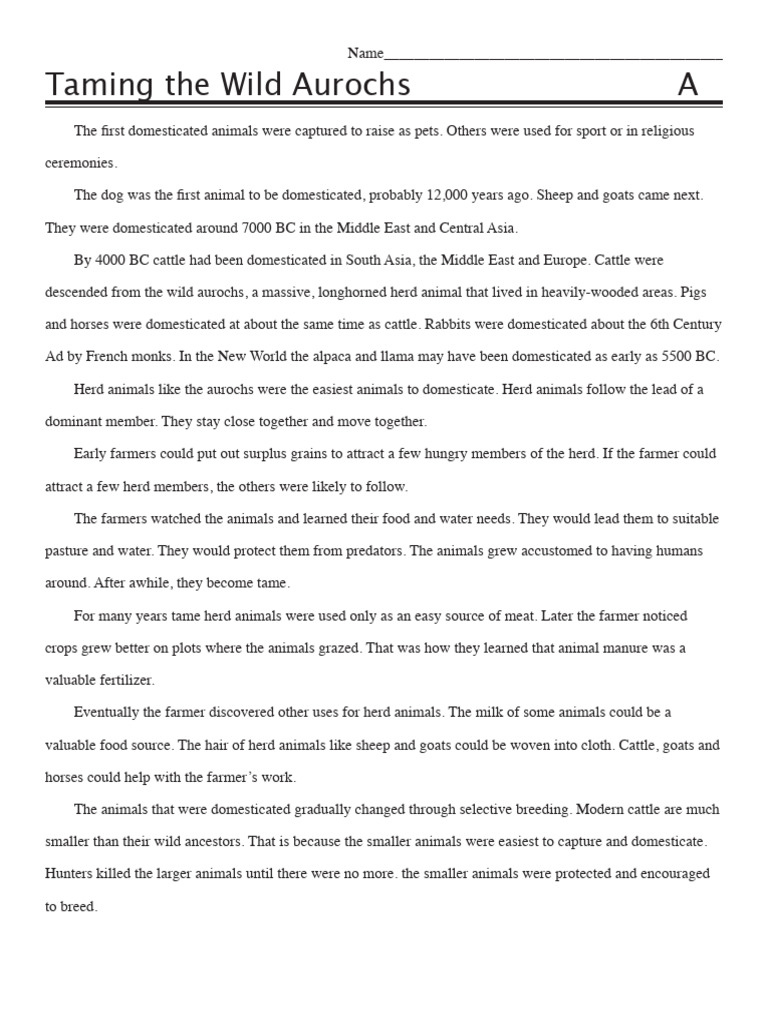 aurochs | PDF | Domestication | Cattle
