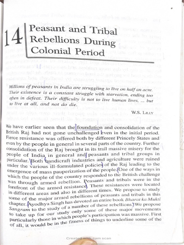 Peasants and Tribal Rebellion | PDF