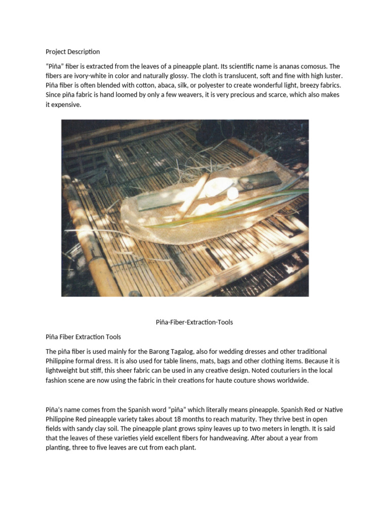 Piña Fiber: Tradition and Craftsmanship | PDF | Textiles | Weaving