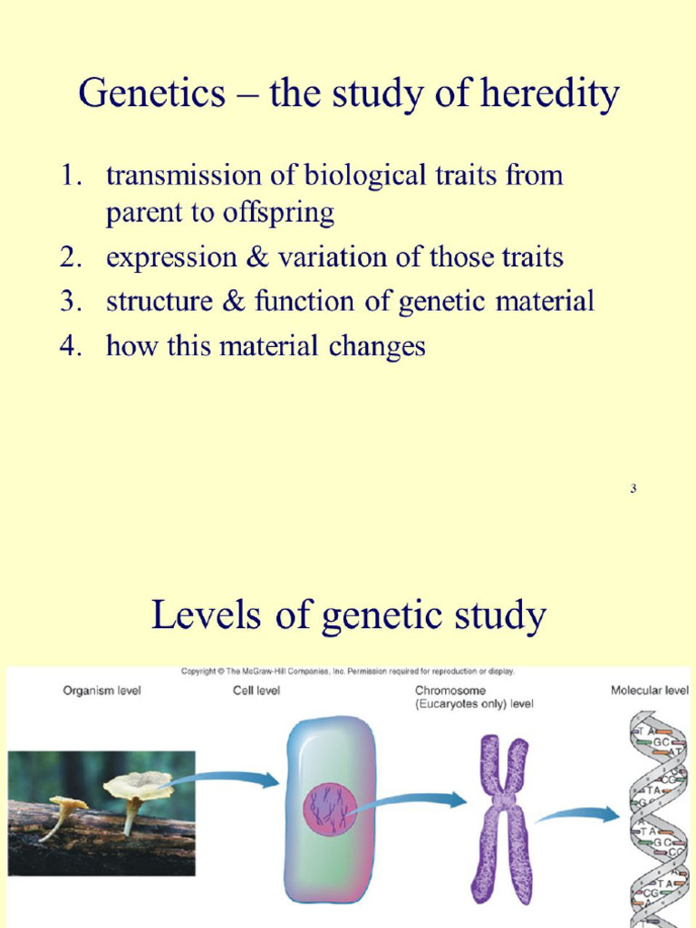 Microbial Genetics Pdf