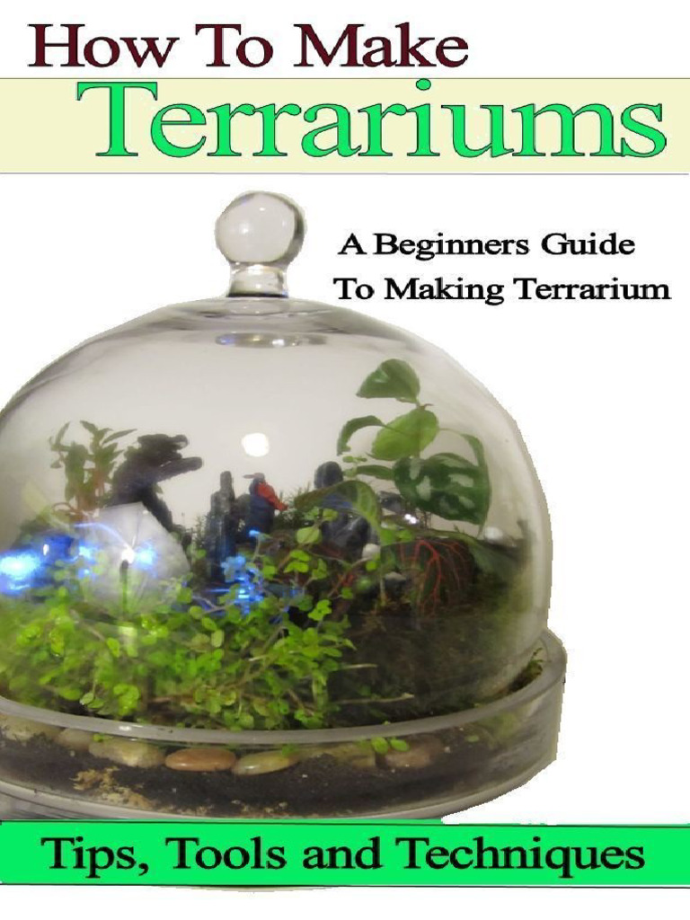 how-to-make-terrariums-a-beginners-guide-to-make-terrarium-1nbsped (1) | PDF | Moss | Soil