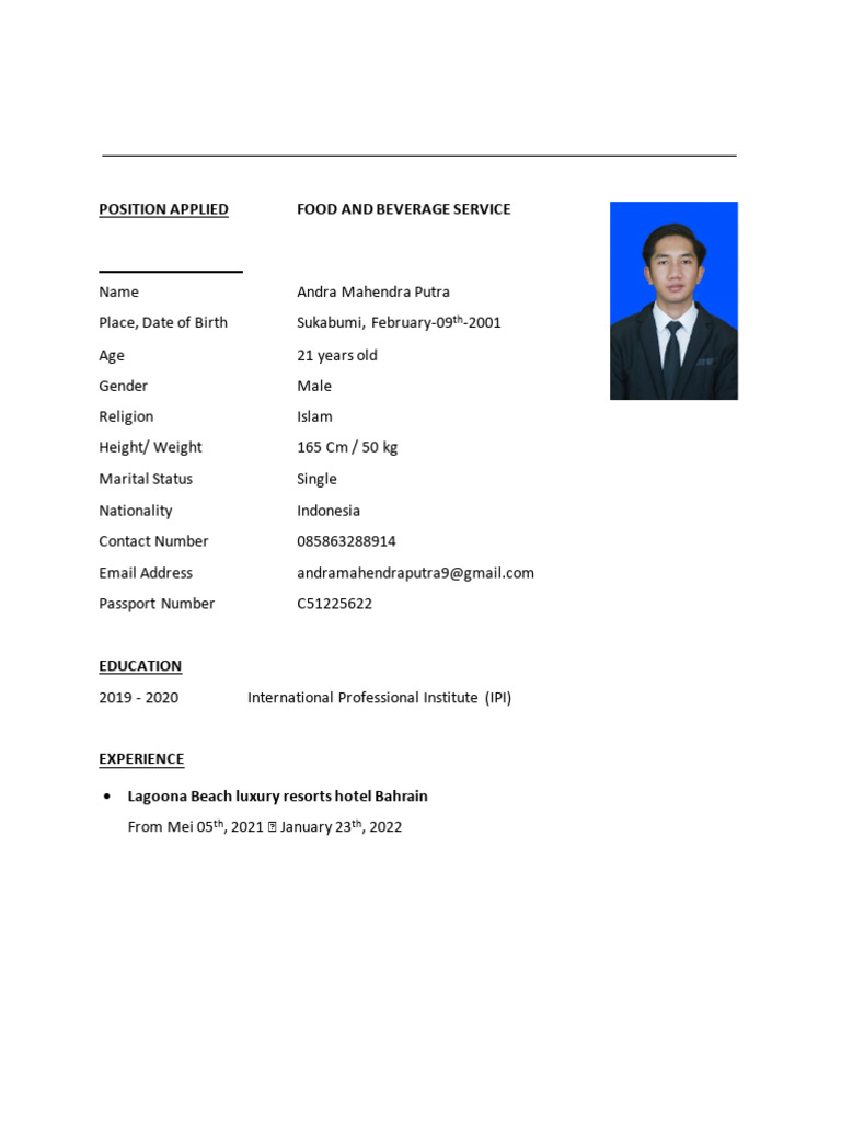 CV ANDRA MAHENDRA PUTRA | PDF
