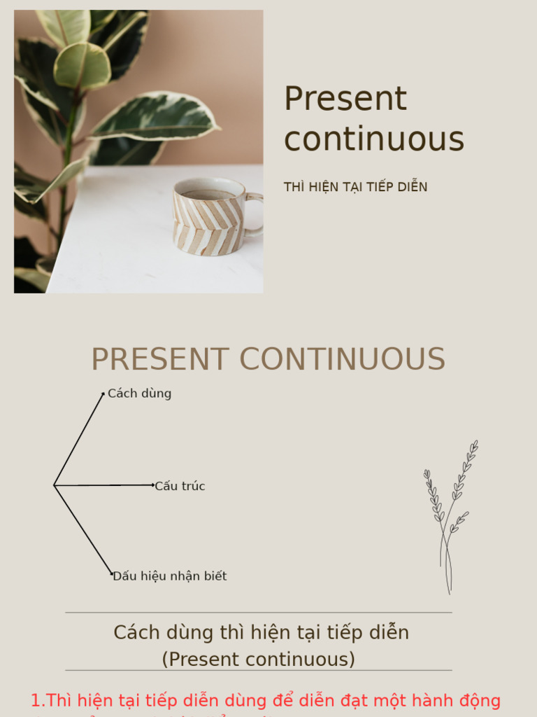 Present Countinous | PDF