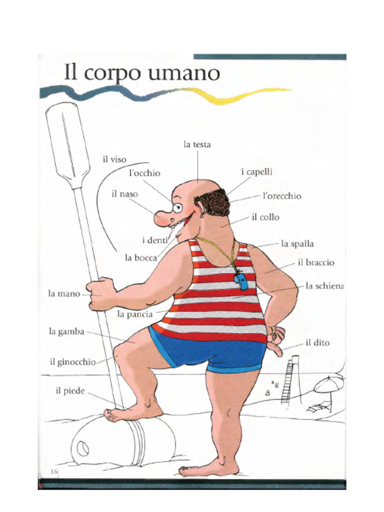 Le Parti Del Corpo | PDF