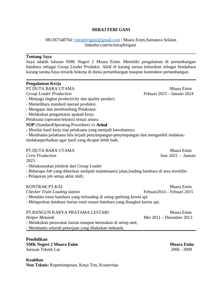 Miraj Feri Gani CV | PDF