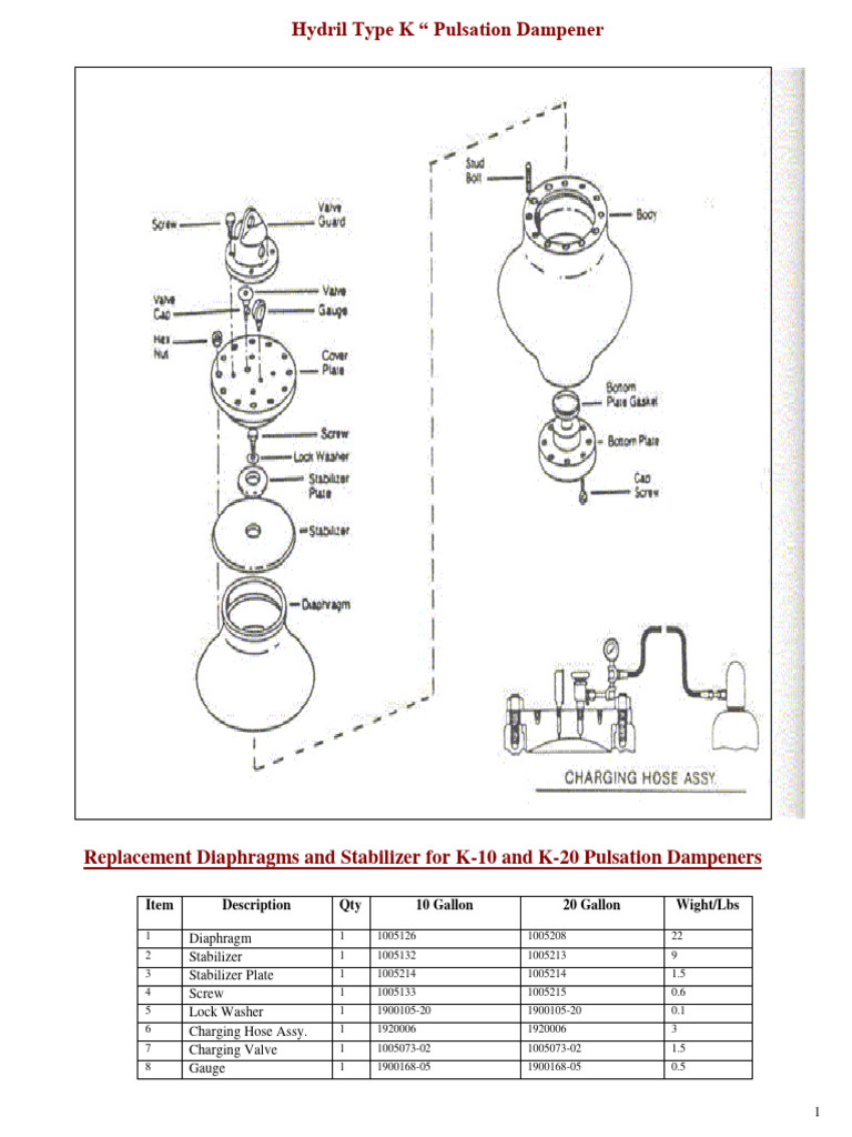 Hydril_Type_K_Pulsation_Dampener_Replace | PDF